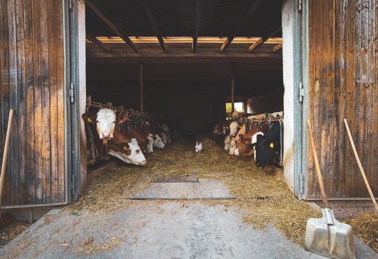 FAQ – Oath Food Co.