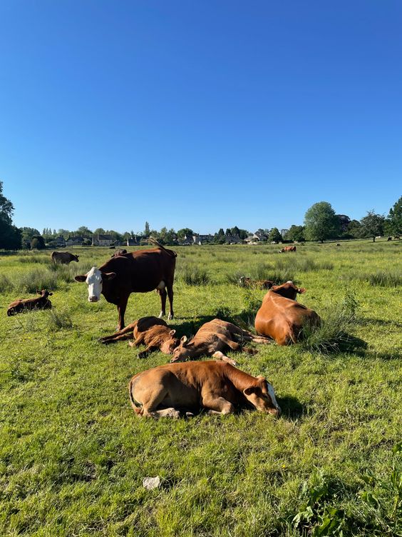 Oath Food Co – Oath Food Co.